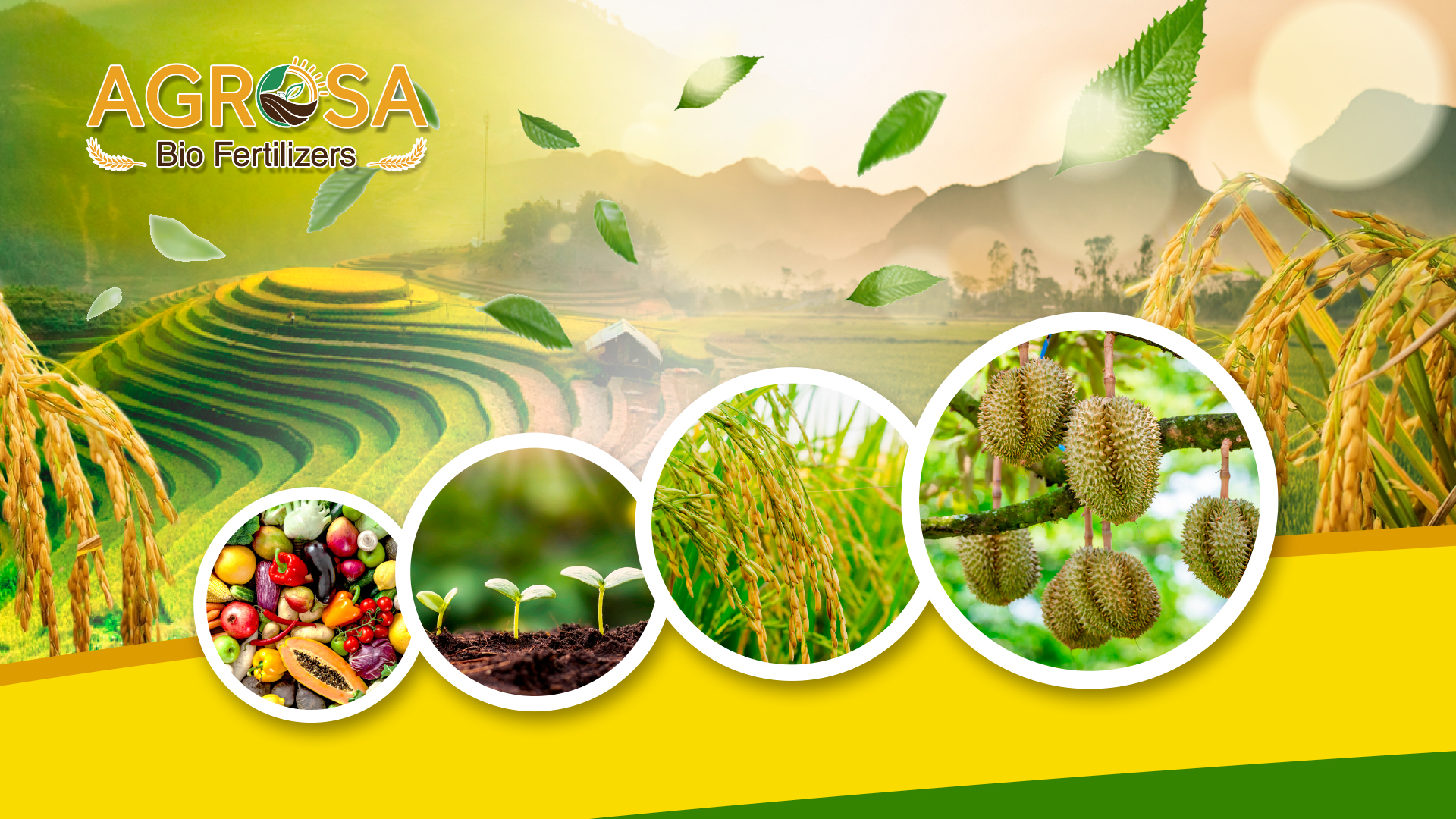 Bio Agrosa Fertilizers - Nhà máy sản xuất phân bón nông nghiệp - Bio ...