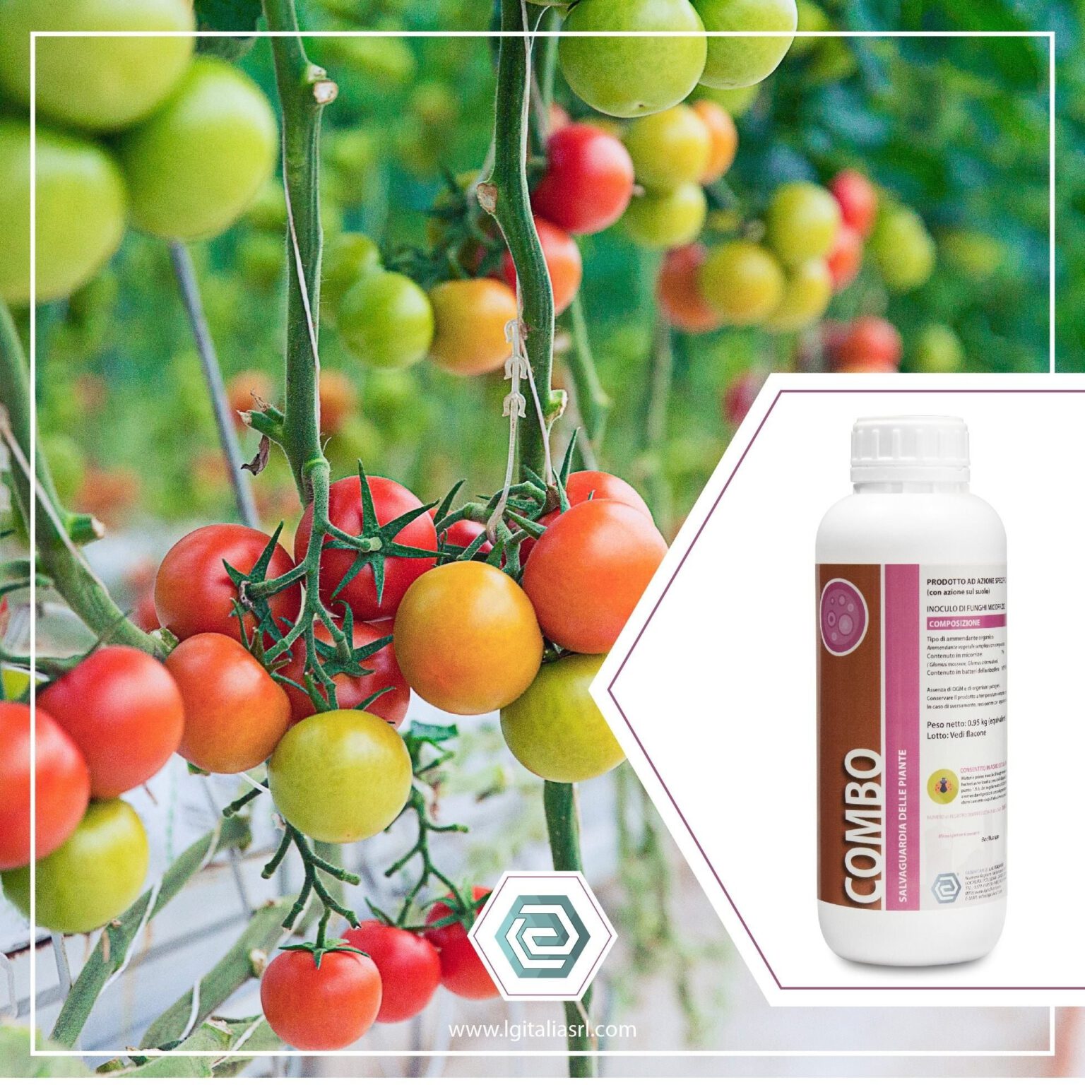 Sản phẩm - Bio Agrosa Fertilizers