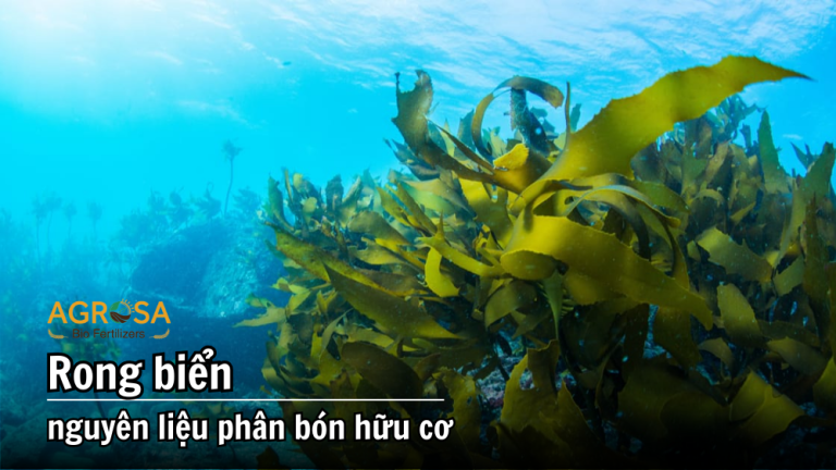 Bio Agrosa Fertilizers - Nhà máy sản xuất phân bón nông nghiệp - Bio ...